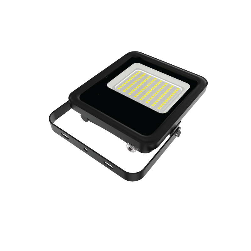 GOLED 30W Flood Light IP66 - 120-277V - Black Housing | Platinum ...