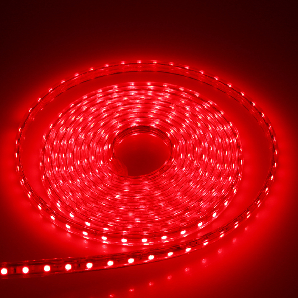 GoLED 3528SMD Flexible 5 Meter 600 LED IP66 Light Strip - Silicone Tube ...