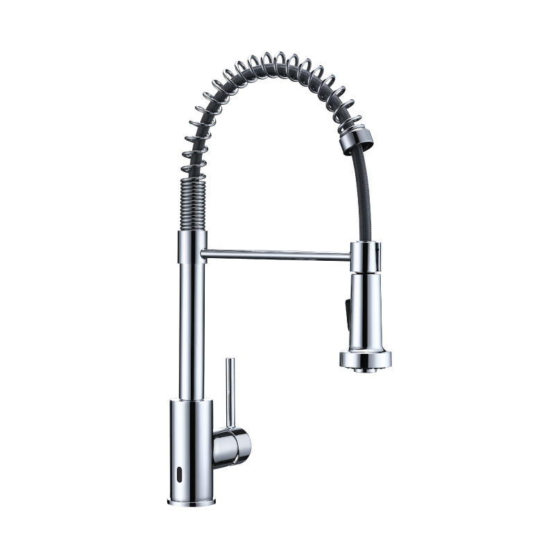 CAE Sensor Kitchen Faucet | Platinum Imports Inc. | Barbados