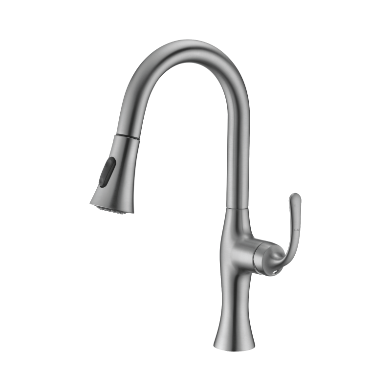 CAE Single Lever Pull-Down Kitchen Faucet - Spot Free Stainless Steel ...