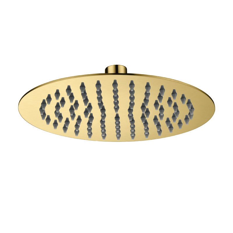 CAE 8" Oval Rain Shower Head - Brushed Brass Finish (BNB) | Platinum ...