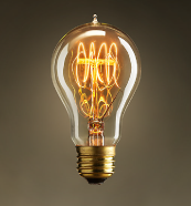 Bulbs Collection | Platinum Imports Inc. | Barbados